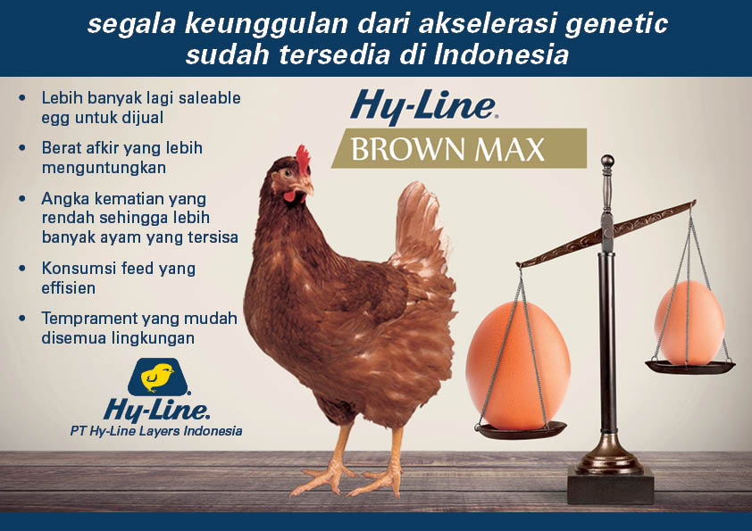 Hy-Line Brown Max Technical Tips: Vaccination